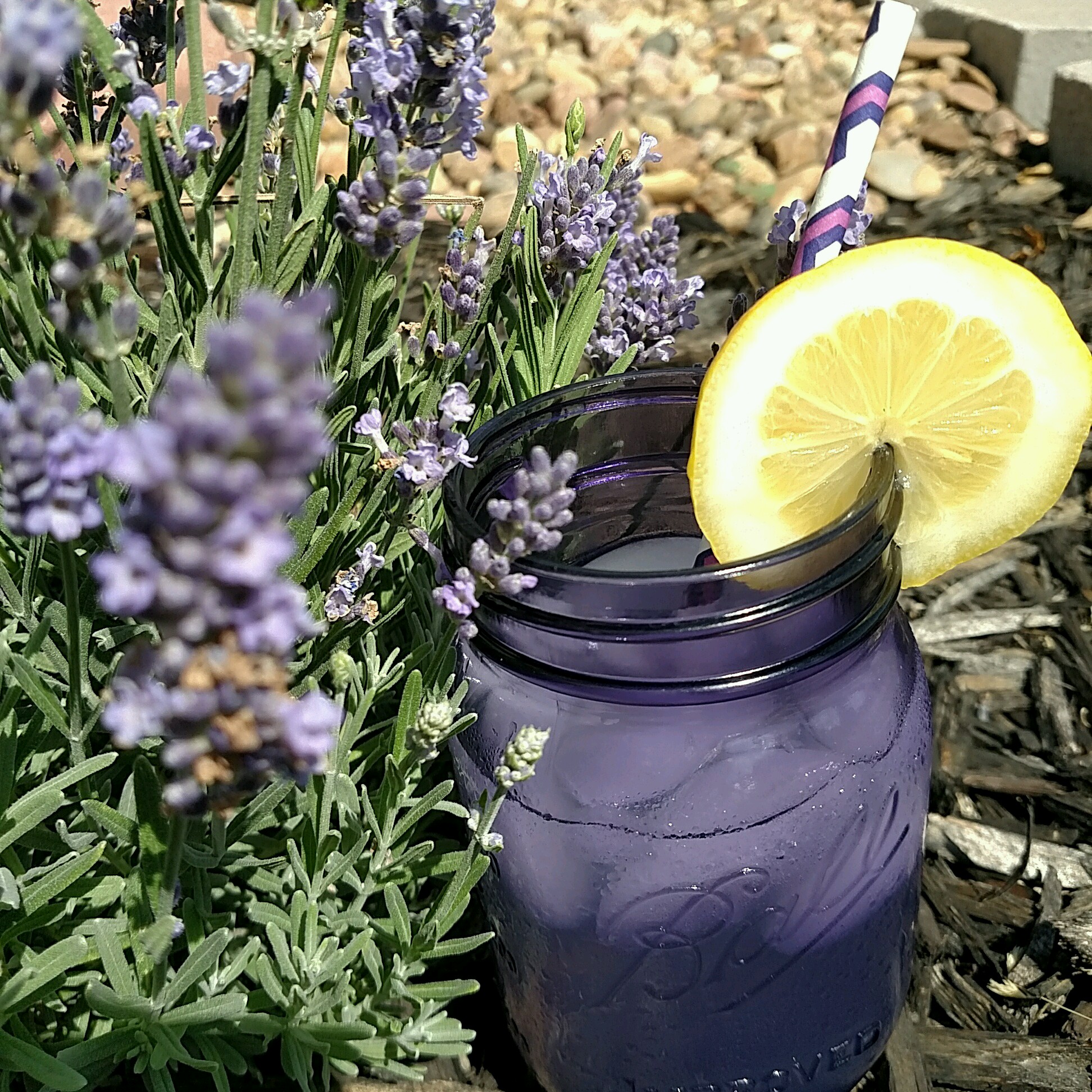 For Purple Jars and Lemonade ⋆ A Delightful Glow