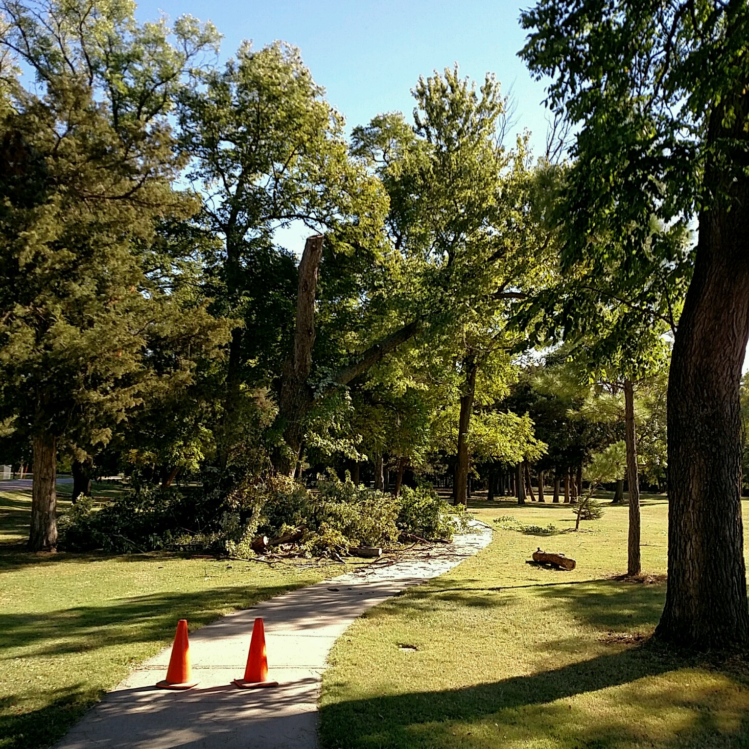 A Pathway in the Park and a Detour Too ⋆ A Delightful Glow