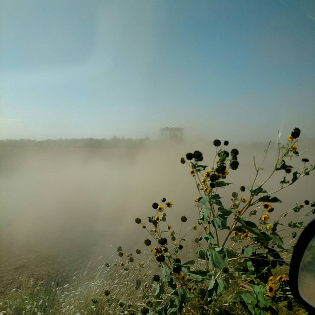In the Dry and Dusty Seasons ⋆ A Delightful Glow
