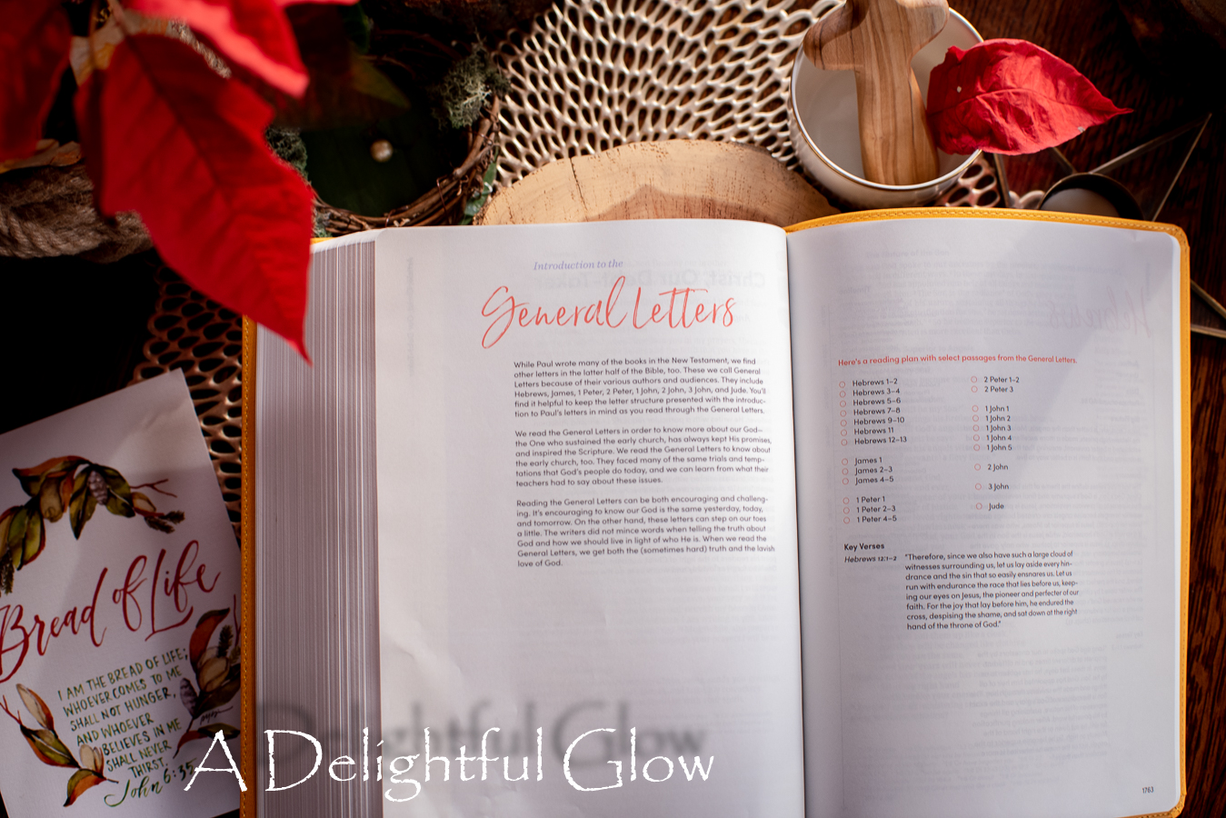Lifeway Women's Bible ⋆ A Delightful Glow