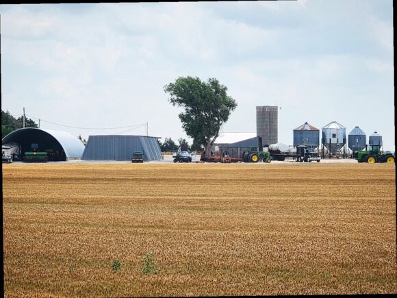 On Toy Tractors, Pink Rugs, and Farming in Real Life | A Delightful Glow