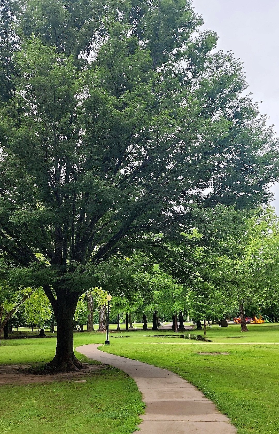 Thoughts on Humility ⋆ A Delightful Glow